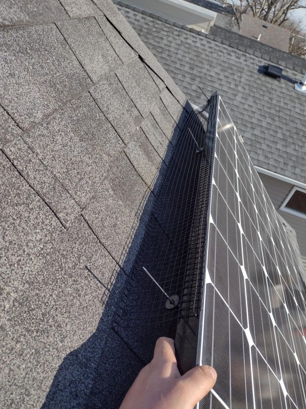 Solar Panel Guardian Services Overview | Solar Panel Critter Guard ...