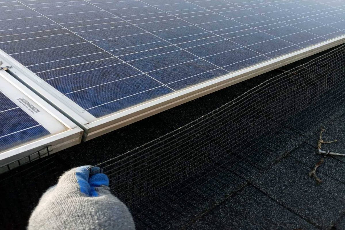 Solar Panel Guardian Solar Panel Squirrel Damage | Solar Panel Critter ...
